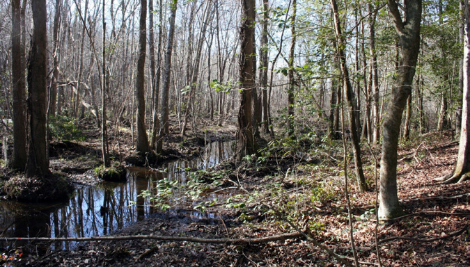ALTEMIS Project Sensors - Savannah River National Laboratory